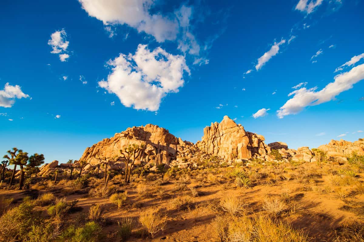 Joshua Tree National Park (What You Must Do) - 2025