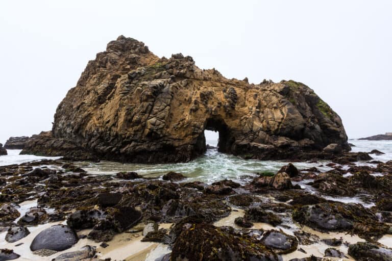 Pfeiffer Beach (Keyhole Arch and Purple Sand) - 2026
