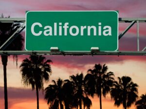 What You Need to Get a California ID (Comprehensive Guide) - 2025