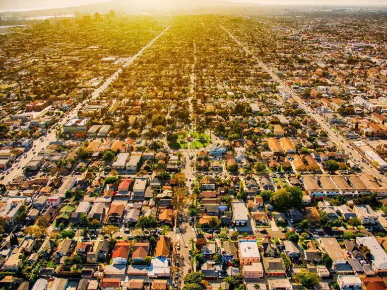 What California Looks Like (Guided Tour) - 2025