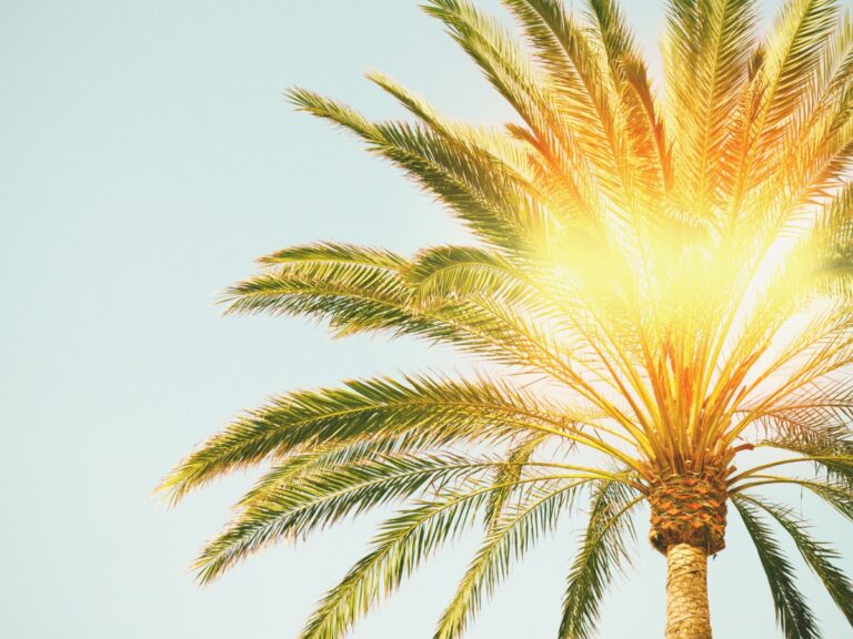 Is California the Sunshine State? (Nickname's Origins) - 2026