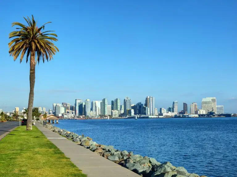 What California Looks Like (Guided Tour) - 2025