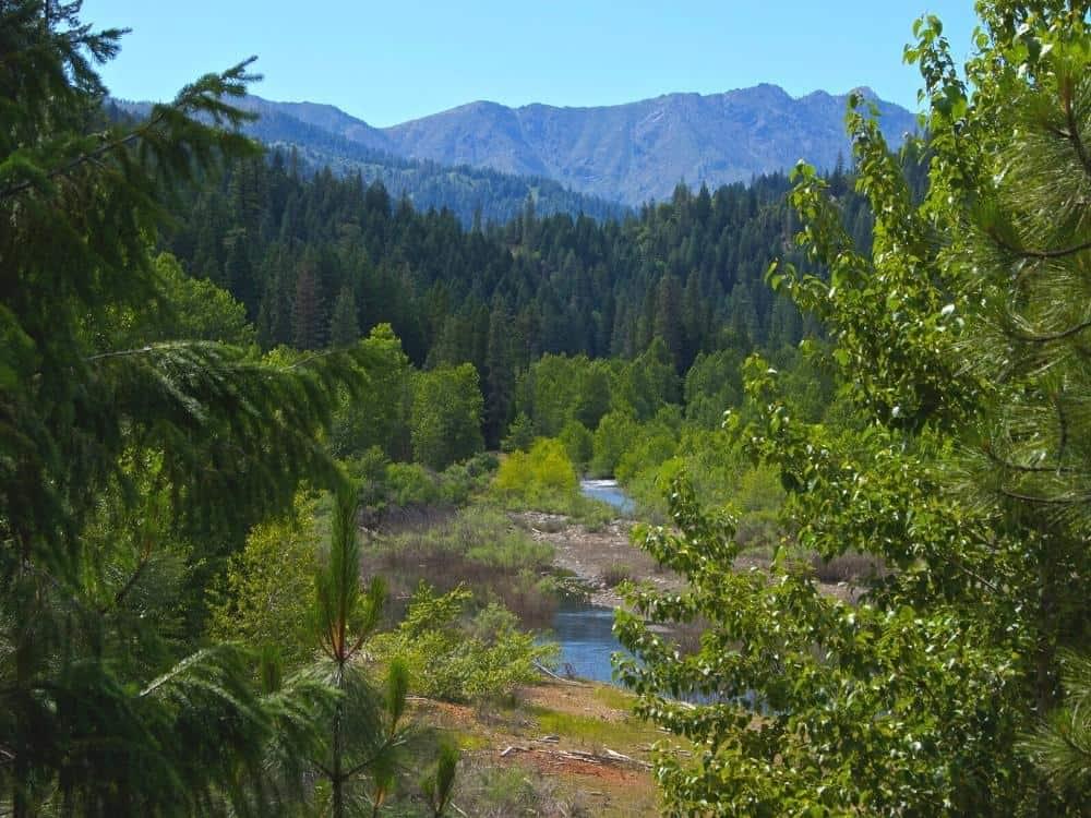 Trinity County California - 2025